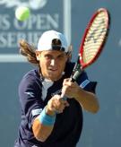 David Ferrer - Biografía de David Ferrer